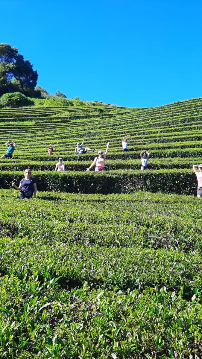 Azoru salas - Paradīzes Izaicinājums 01/2026 - Rover - Atklājam pasauli ...