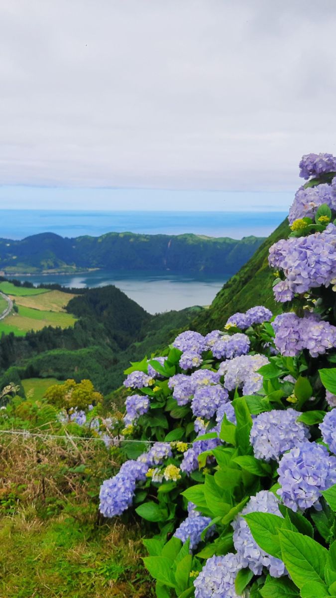 Azoru salas - Paradīzes Izaicinājums 01/2026 - Rover - Atklājam pasauli ...