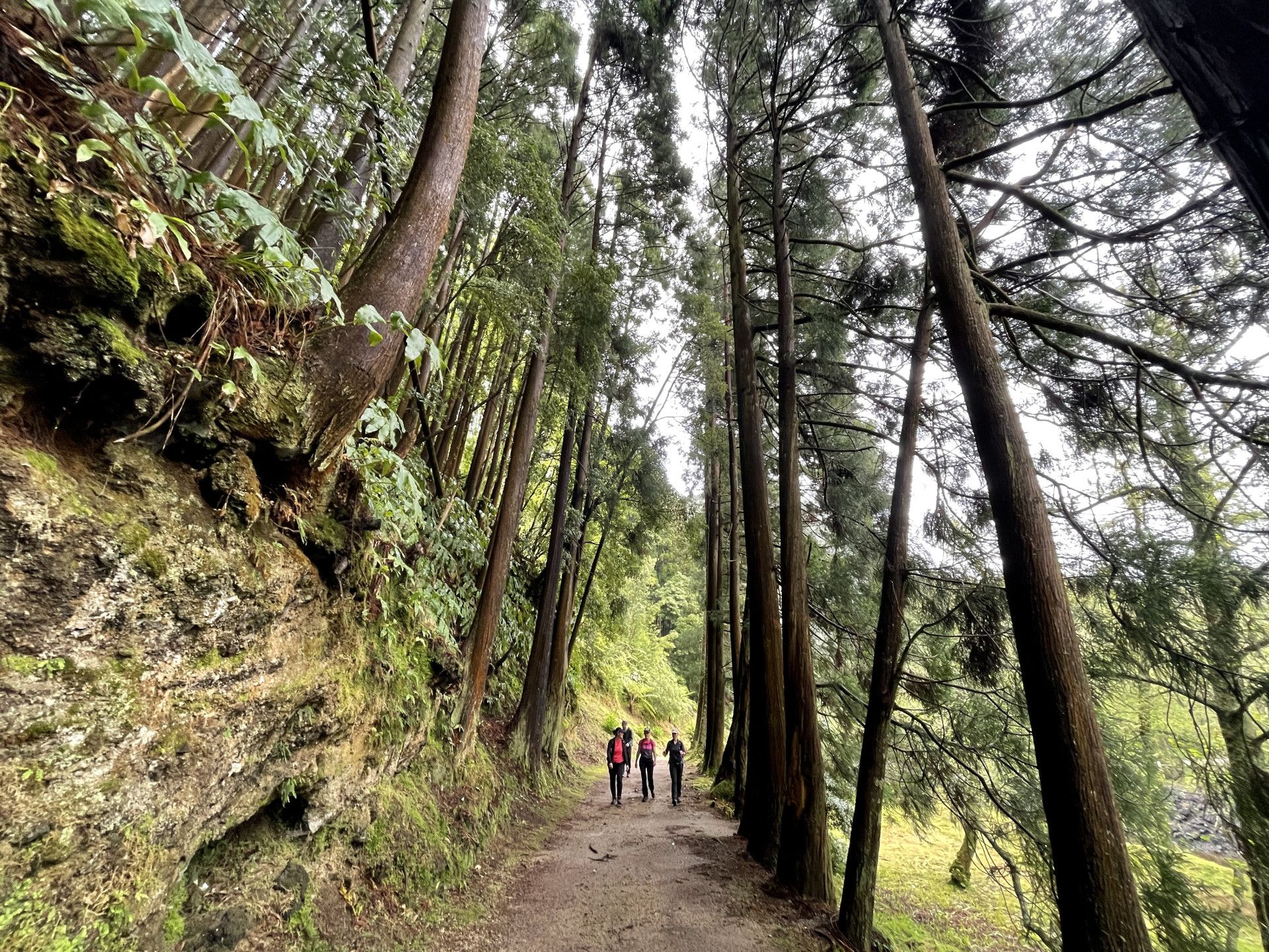 Azoru salas - Paradīzes Izaicinājums 10/2023 - Rover - Atklājam pasauli ...